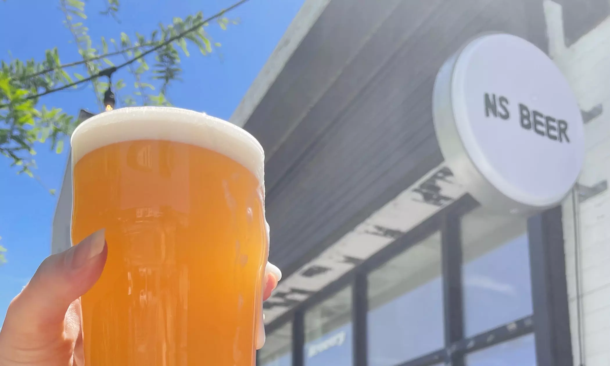 Ns Beer in Brooklyn | Groupon