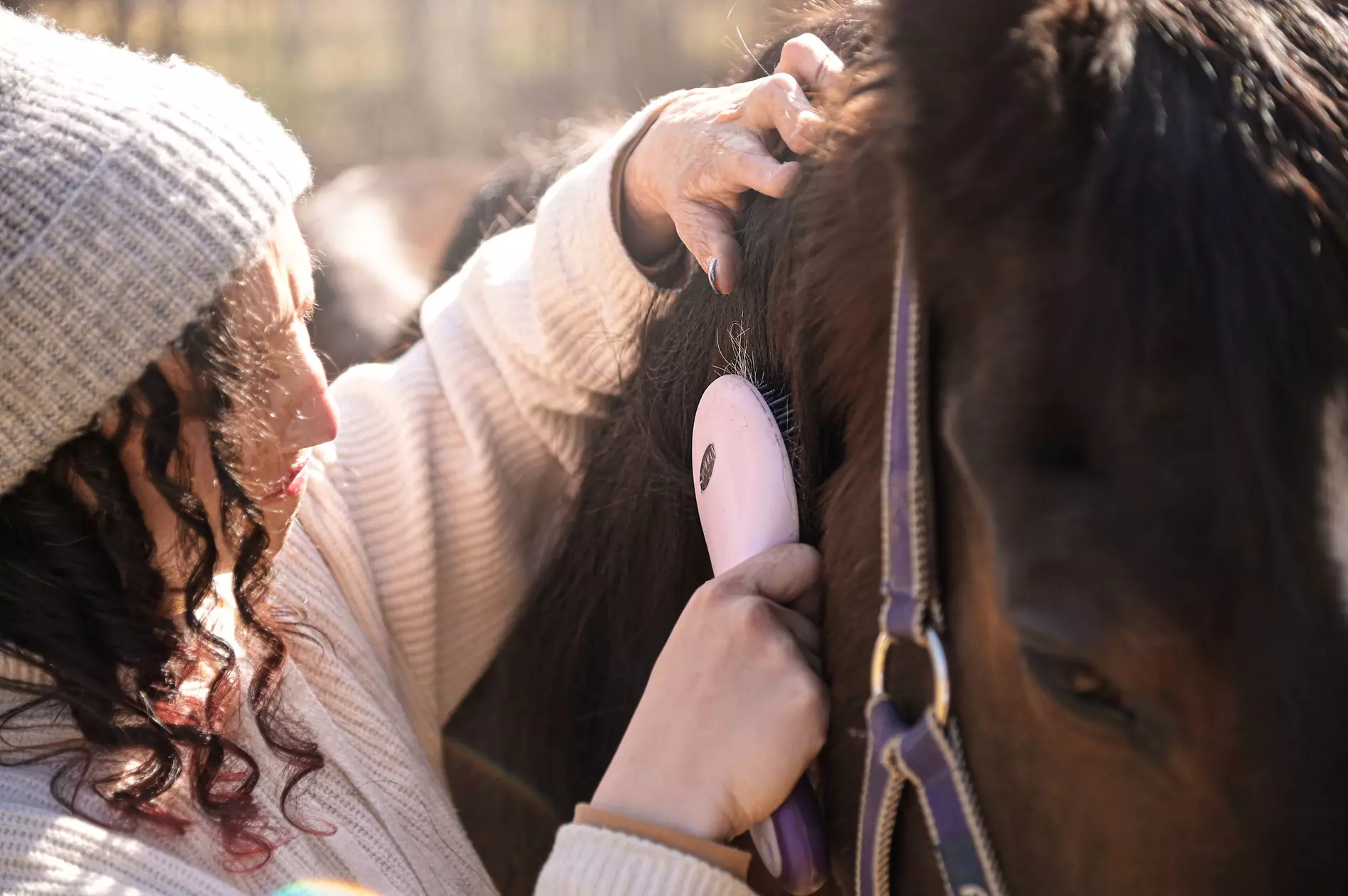 Silver Mane Stables in Holliston | Groupon