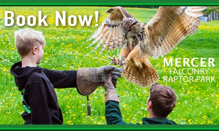 Zoo / Animal Park - Mercer Falconry | Groupon