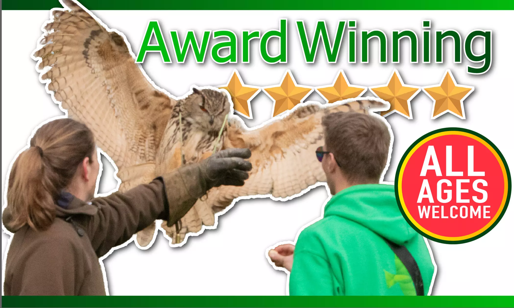 Mercer Falconry - From £14.40 - Farnsfield | Groupon