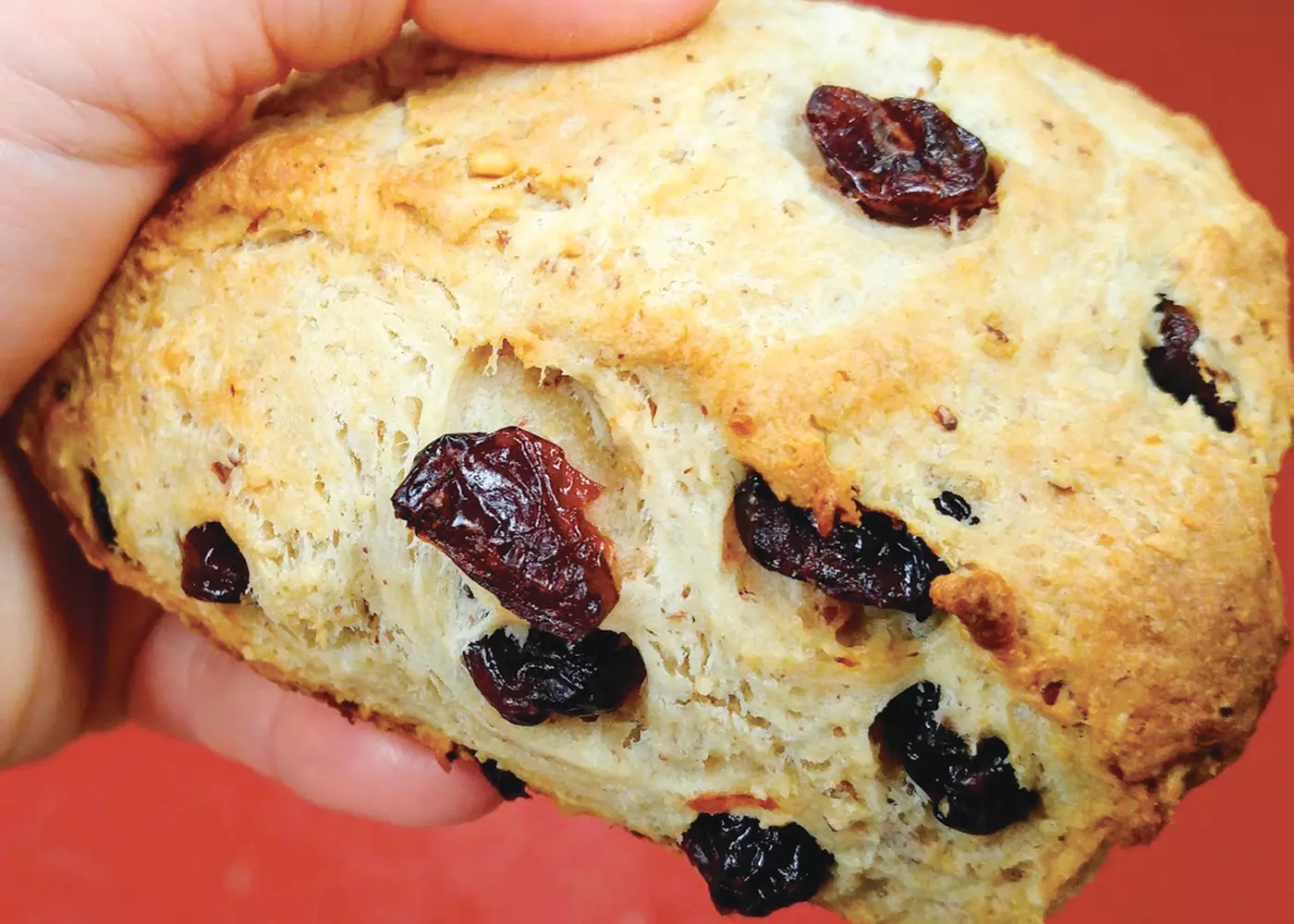 Connecticut Gourmet in Windham | Groupon