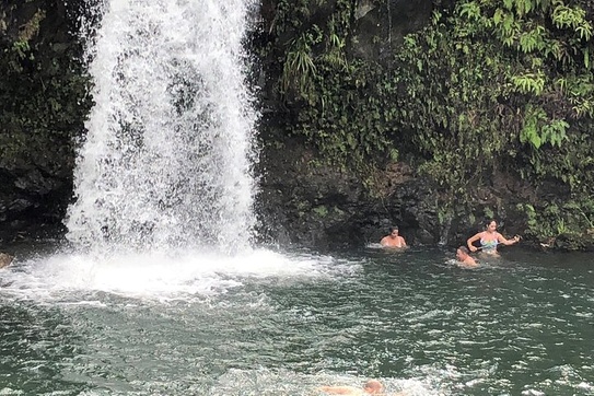 Dynamic Tour Hawaii - Dynamic Tour Hawaii | Groupon