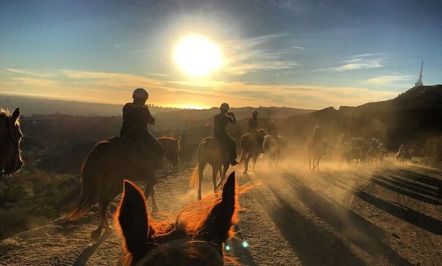 Sunset Ranch Hollywood - Sunset Ranch Hollywood | Groupon