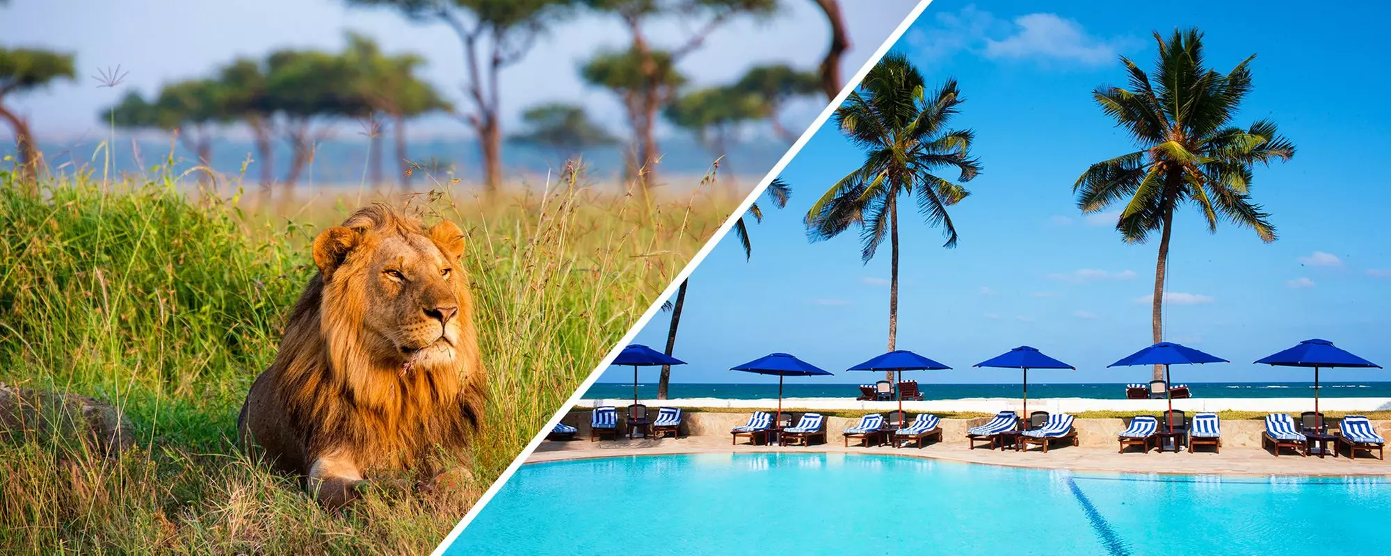 Diani Beach - Combiné Jacaranda Indian Ocean Beach Resort 4* & Safari à ...