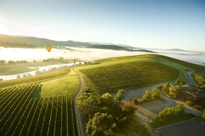 Vinetrekker Wine Tours - Vinetrekker Wine Tours | Groupon