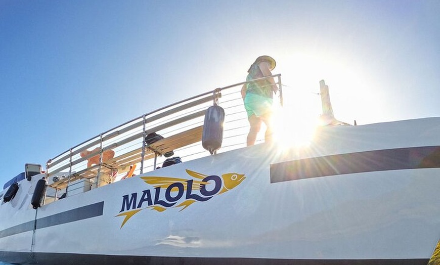 Malolo Molokini Snorkeling Tours - Malolo Molokini Snorkeling Tours ...