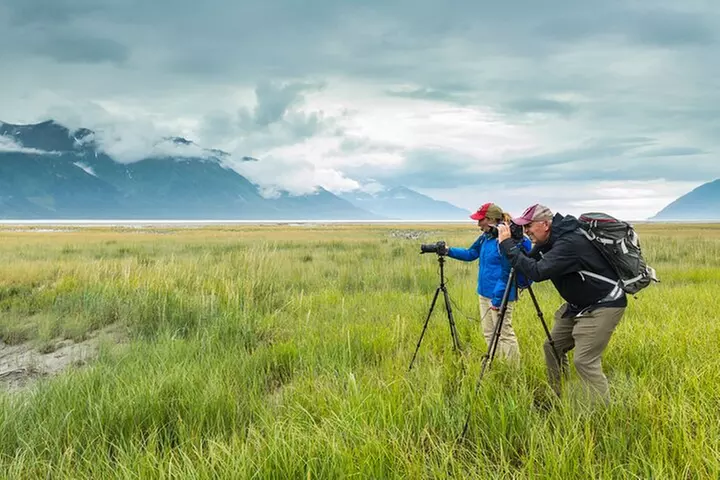 Alaska Photo Treks - Alaska Photo Treks | Groupon