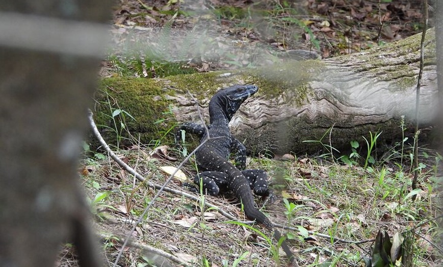 Juan naturalist - Juan naturalist | Groupon