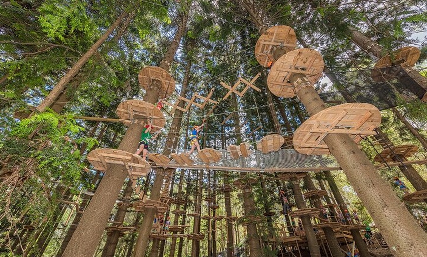 Treetops The Hills - Treetops The Hills | Groupon