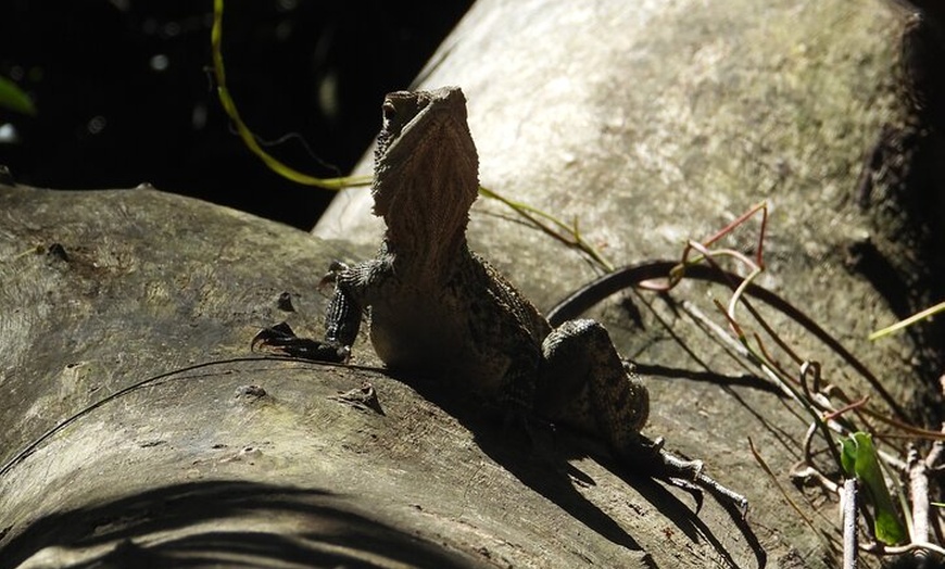 Juan naturalist - Juan naturalist | Groupon