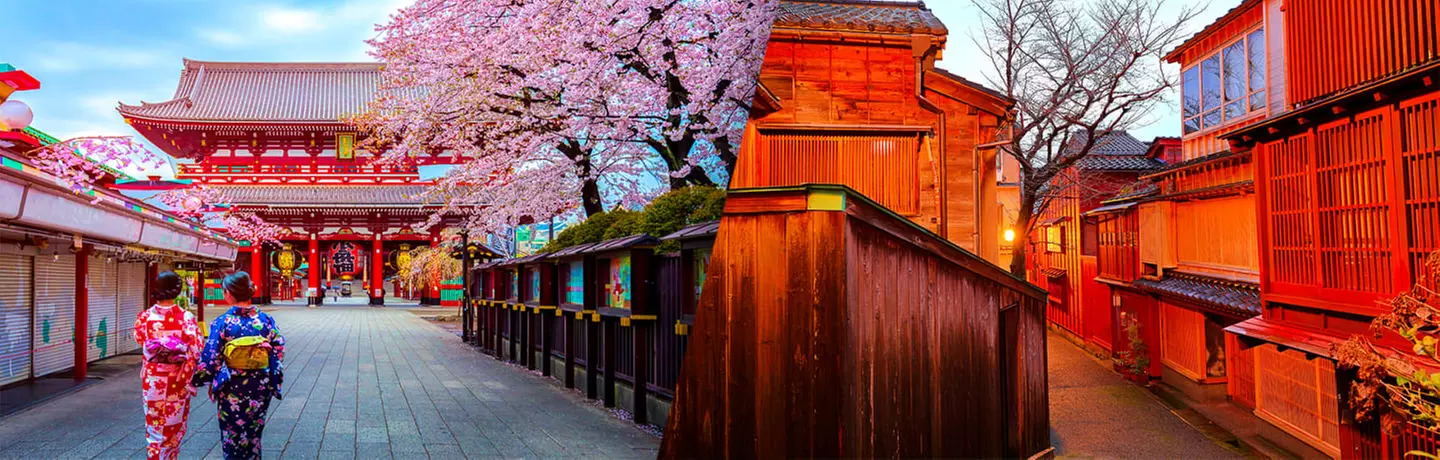 From Tokyo to Osaka - Japan: From megacities to sacred mountains 3*, 12 ...