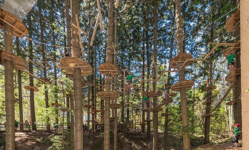 Treetops The Hills - Treetops The Hills | Groupon