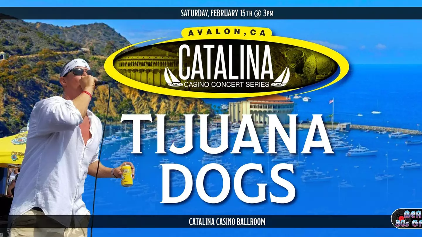 Tijuana Dogs in Avalon | Groupon