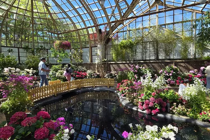 Chicago Museum Tours - Chicago Museum Tours | Groupon