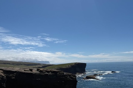 Gordon Tulloch - Gordon Tulloch | Groupon