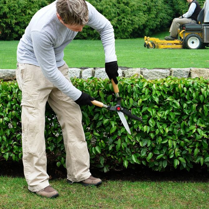 6 Ways to Use Your Select Perks This Summer