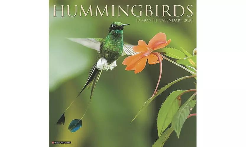 2020 Hummingbirds Wall Calendar | Groupon Goods