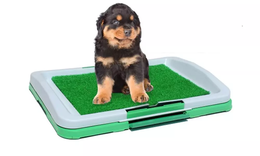 QPower Insta-Potty Trainer F... | Groupon Goods