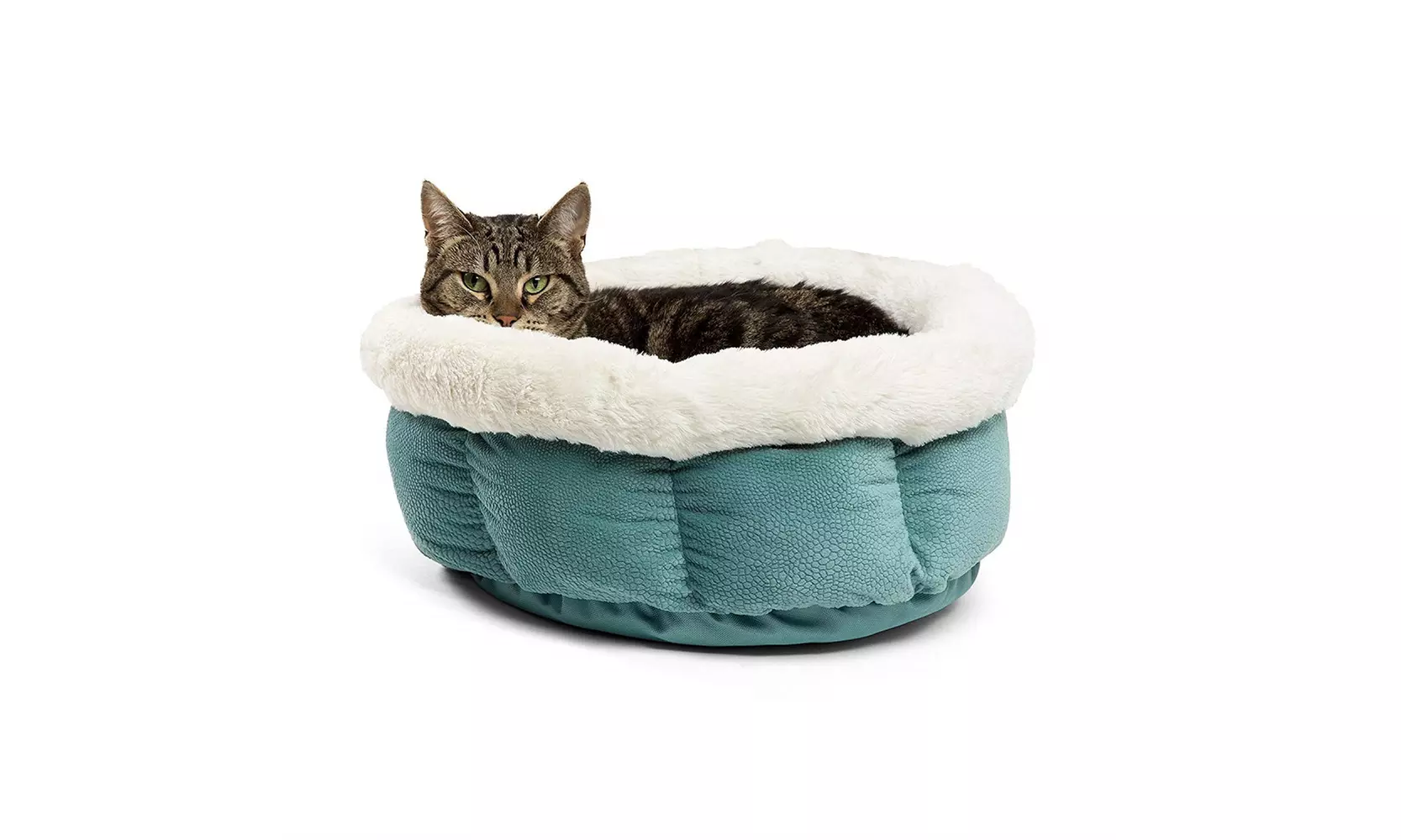 Best Friends by Sheri Small C... | Groupon Goods