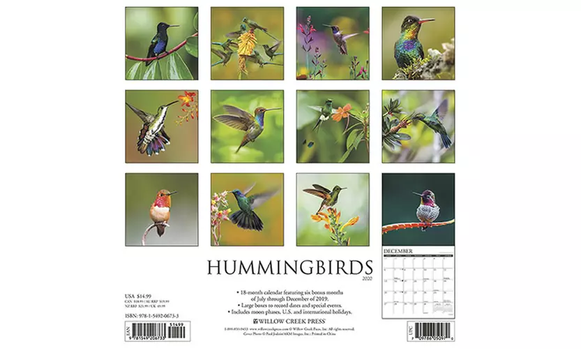 2020 Hummingbirds Wall Calendar | Groupon Goods