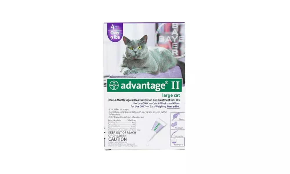 on Advantage Flea Control for Ca... | Groupon Goods
