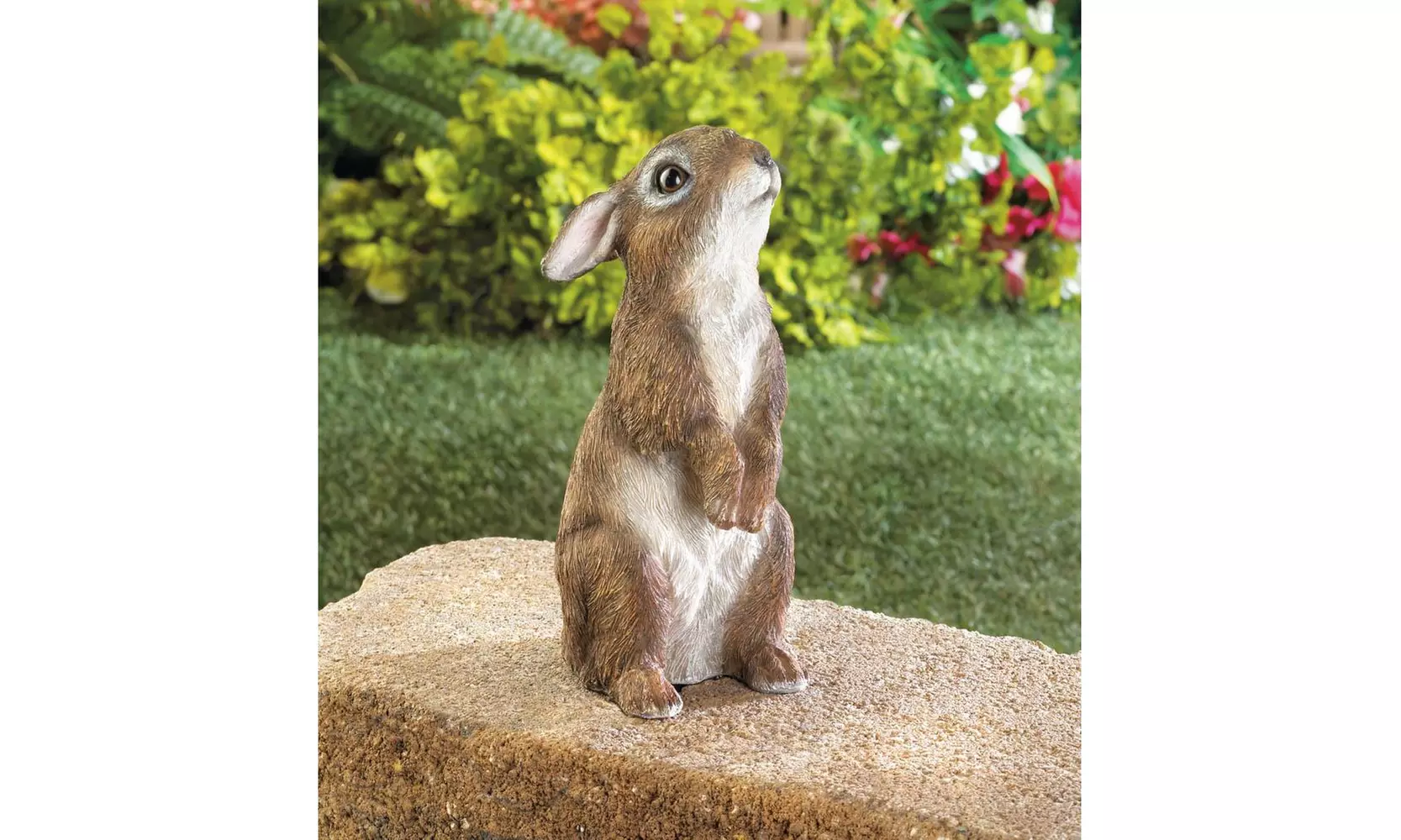 Realistic Curious Bunny Rabbi... | Groupon Goods