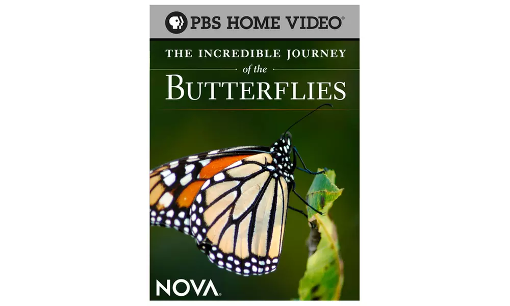 NOVA: The Incredible Journey ... | Groupon Goods
