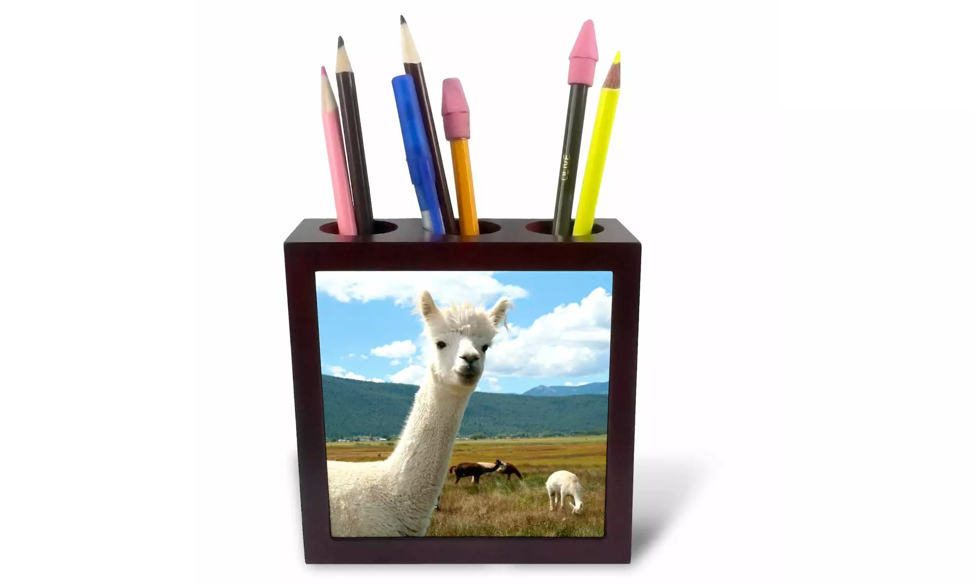 Tile Pen Holder - Victory Ra... | Groupon Goods