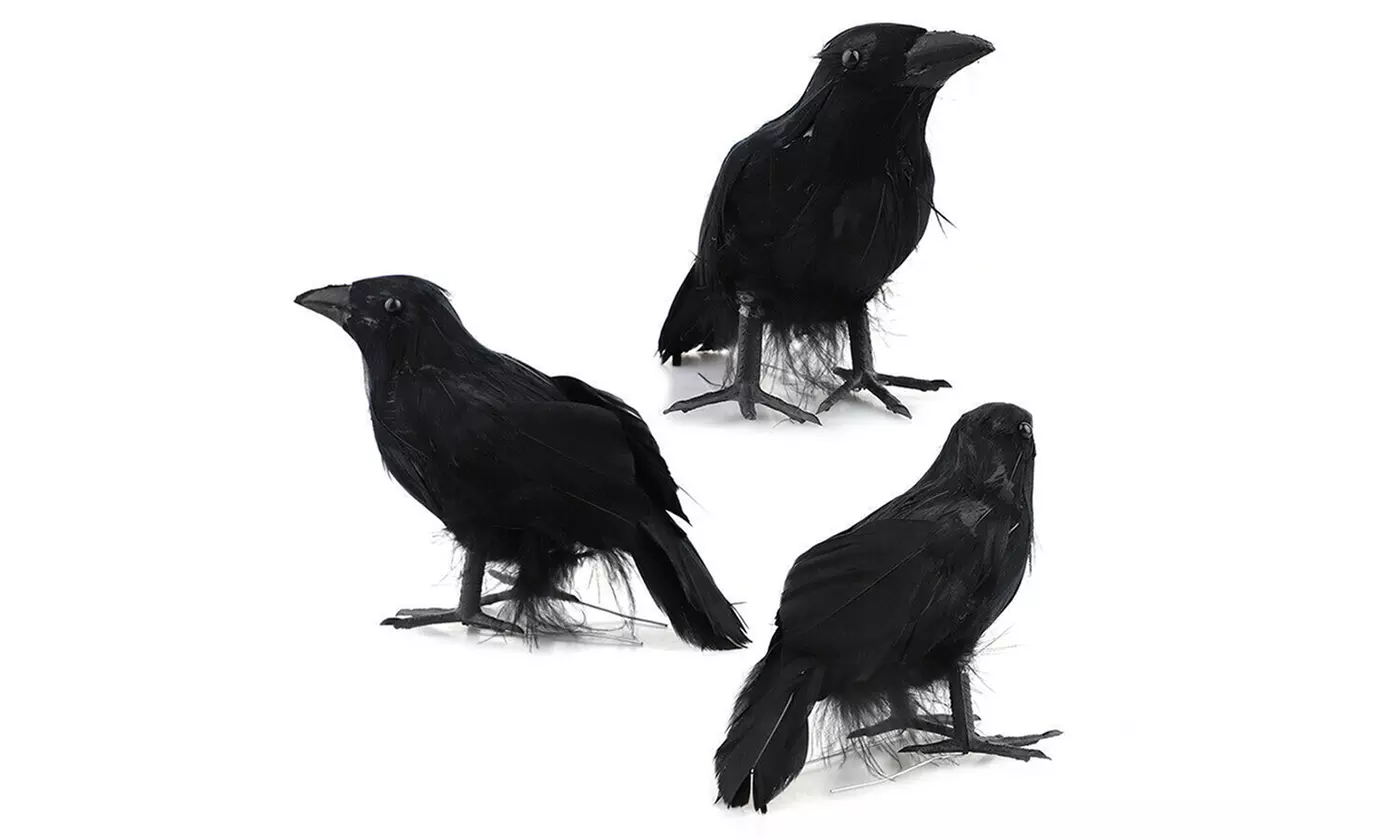 3PC Halloween Crow Prop Large... | Groupon Goods