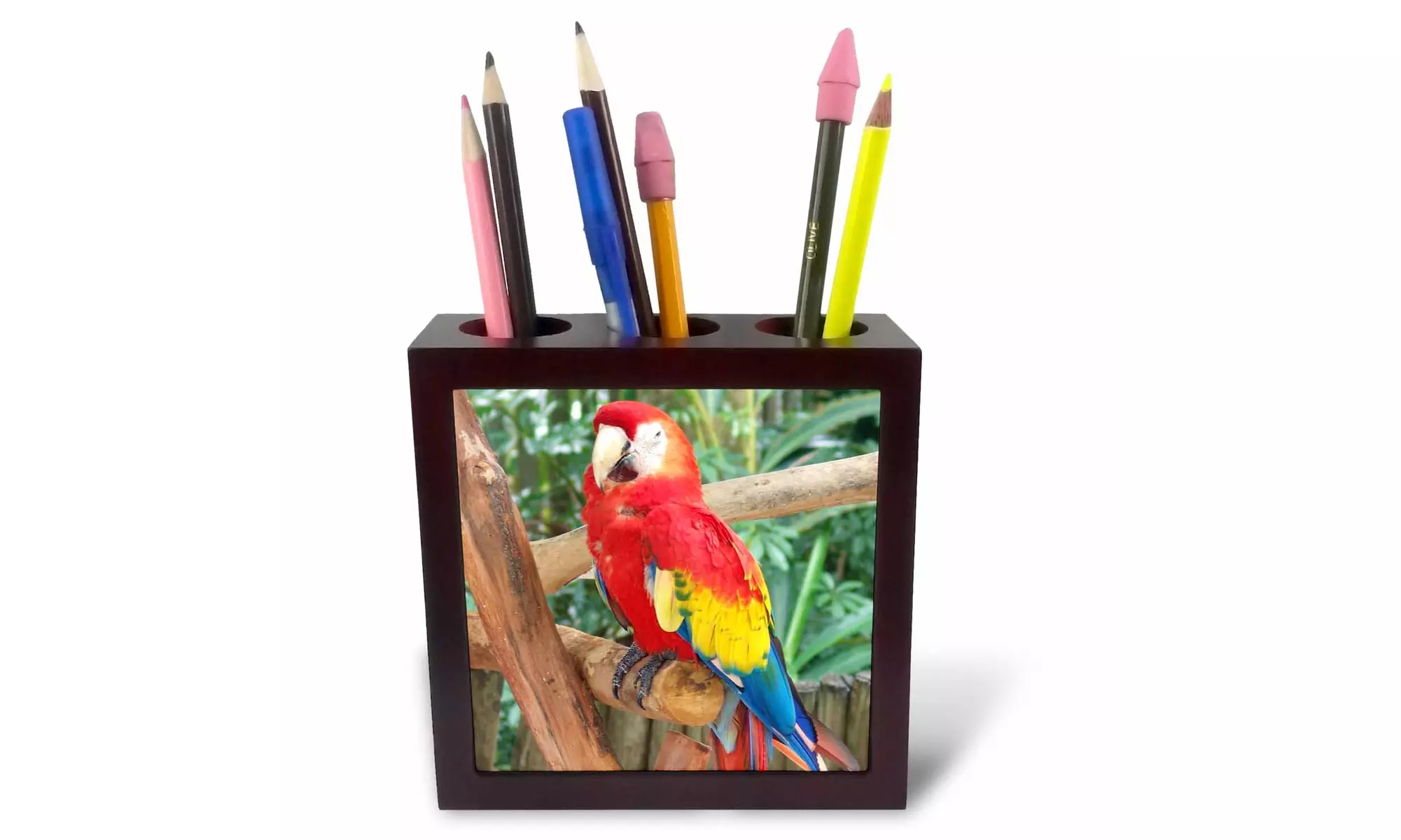 Tile Pen Holder - Live Parro... | Groupon Goods