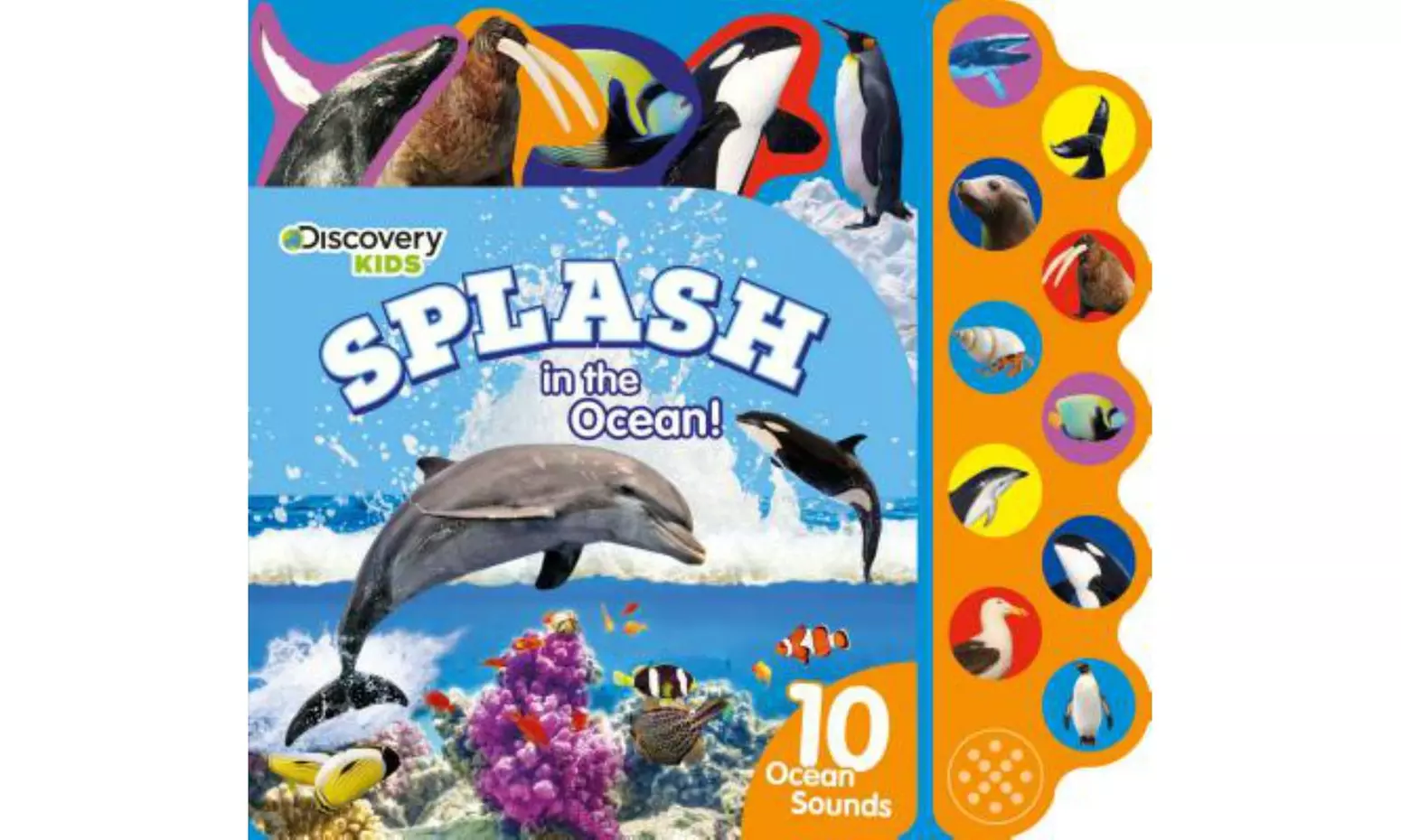 Discovery Kids Splash in the ... | Groupon Goods