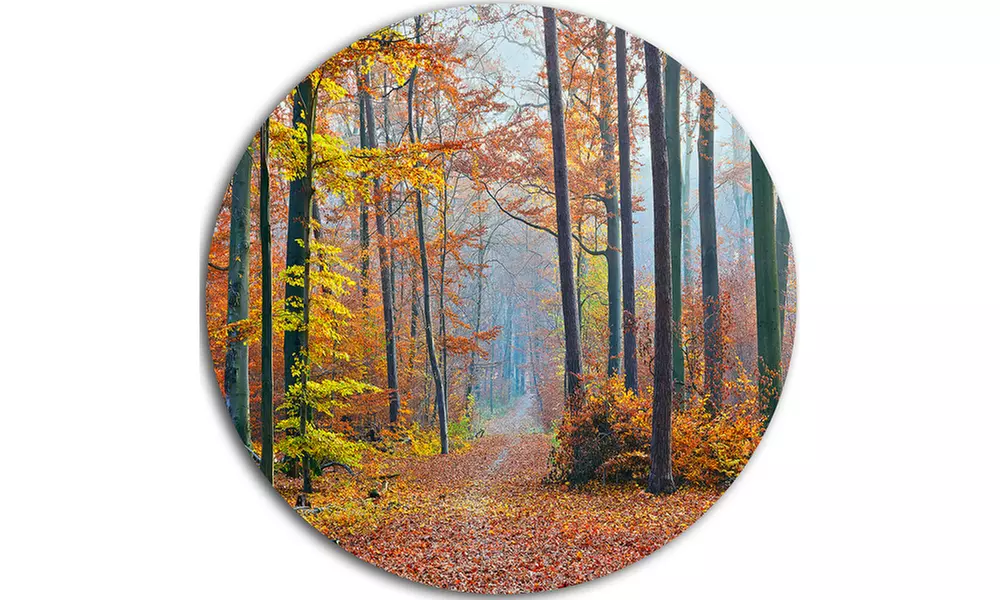 Orange Green Fall Leaves in F... | Groupon Goods