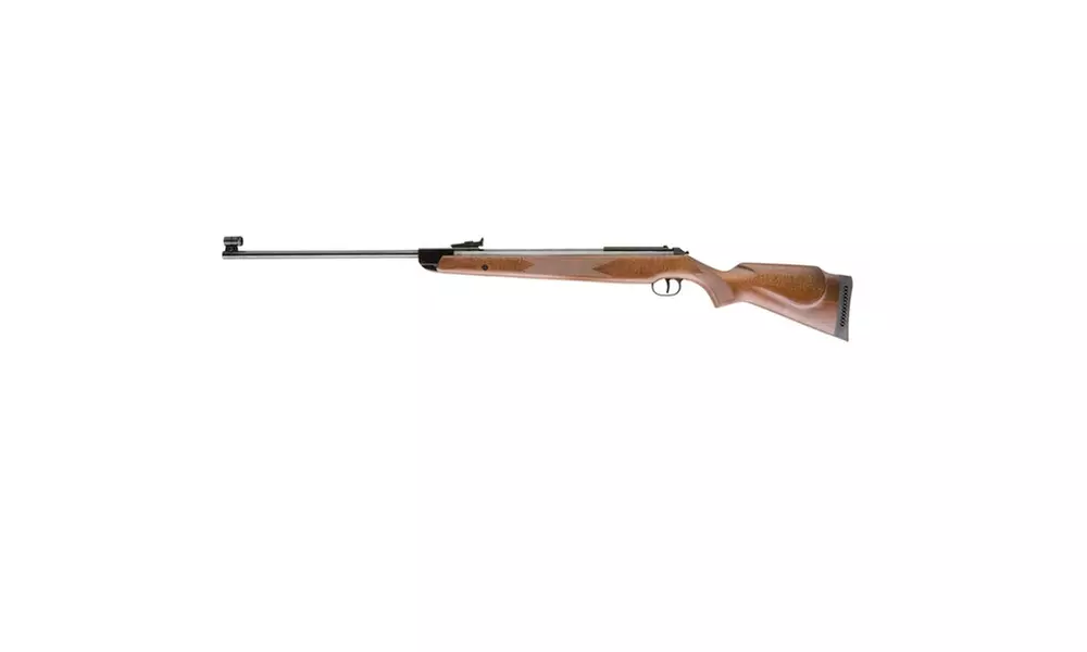RWS Model 350 Magnum Air Gun ... | Groupon Goods