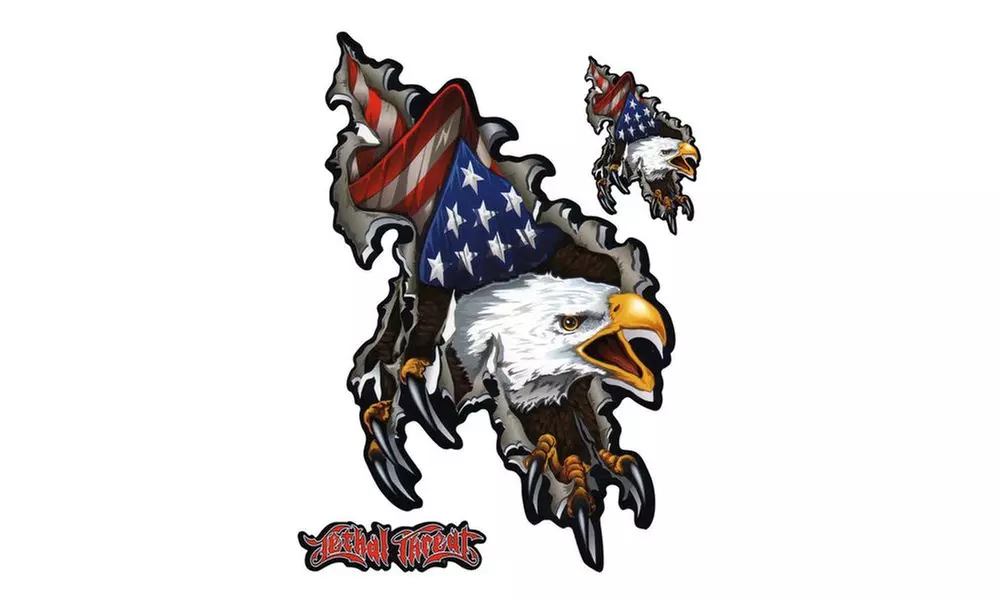 6 x 8 inch Decal Left & Right... | Groupon Goods