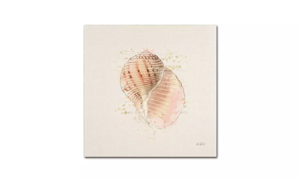 Katie Pertiet 'Shell Collecto... | Groupon Goods