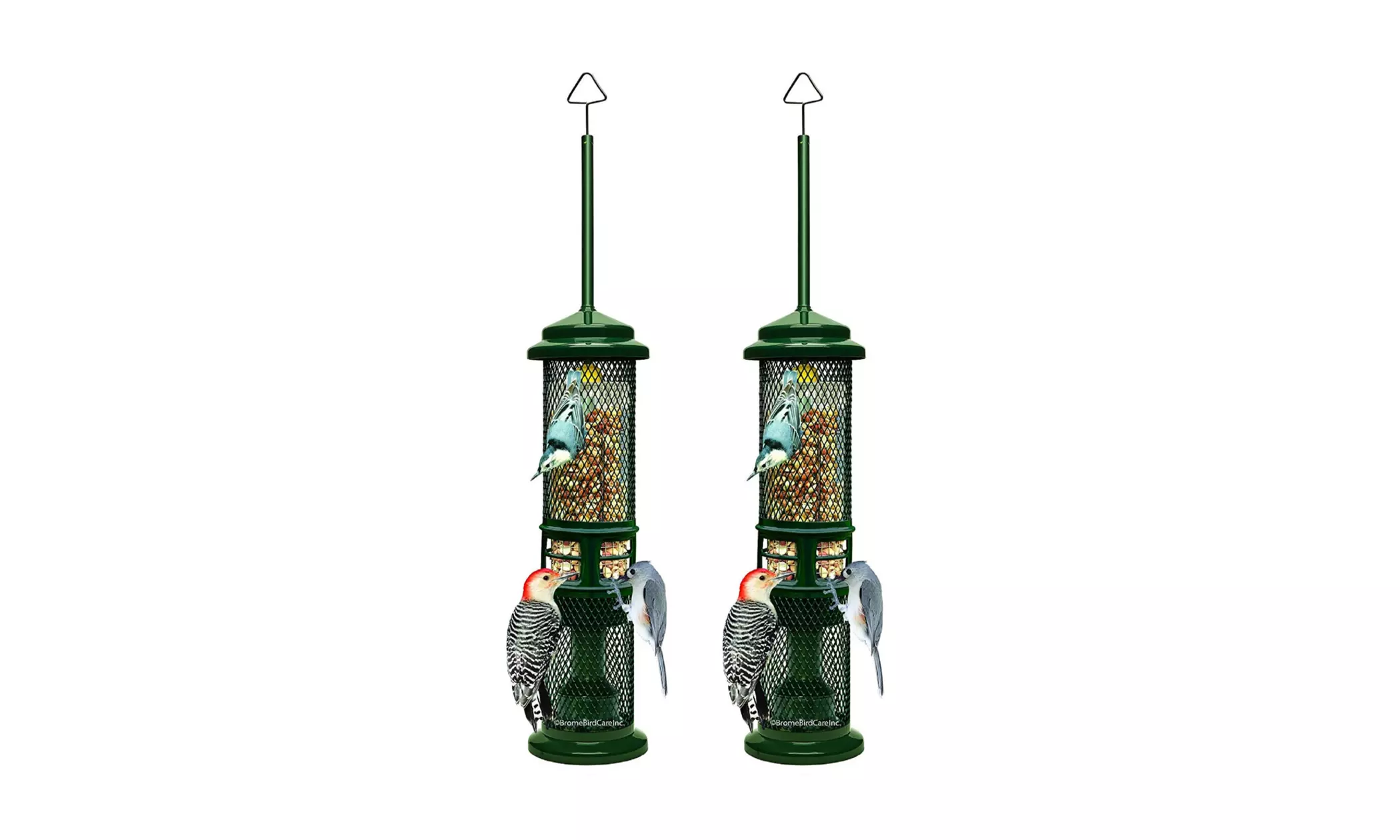 Squirrel Buster Nut Feeder Sq... | Groupon Goods