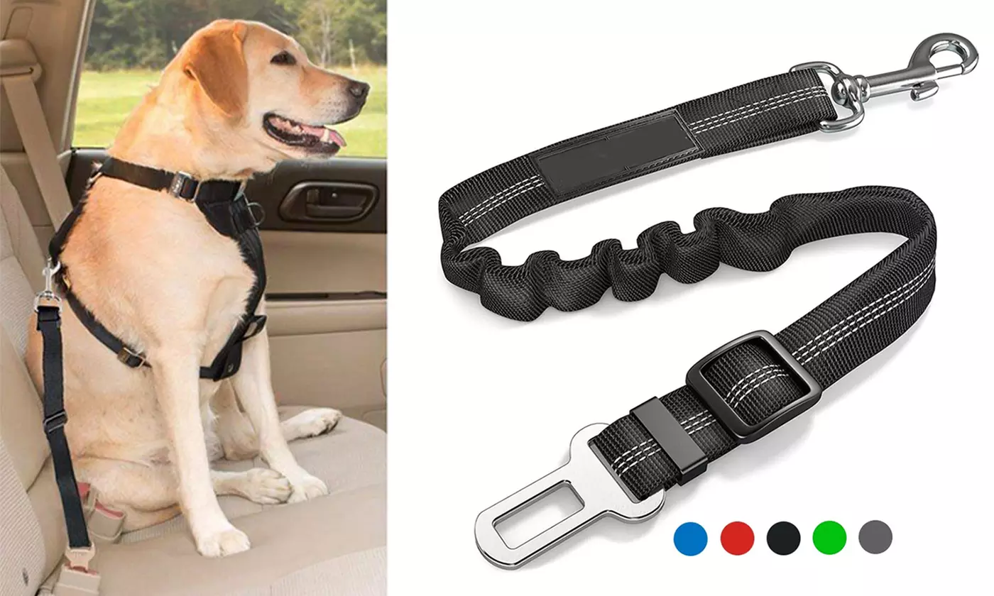 Seat Belt for Dogs with Elast... | Groupon Goods