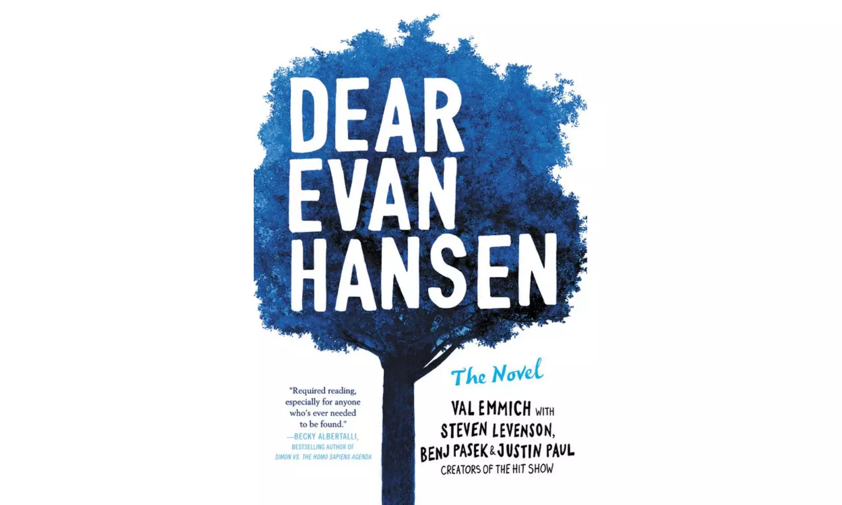 Dear Evan Hansen: The Novel | Groupon Goods