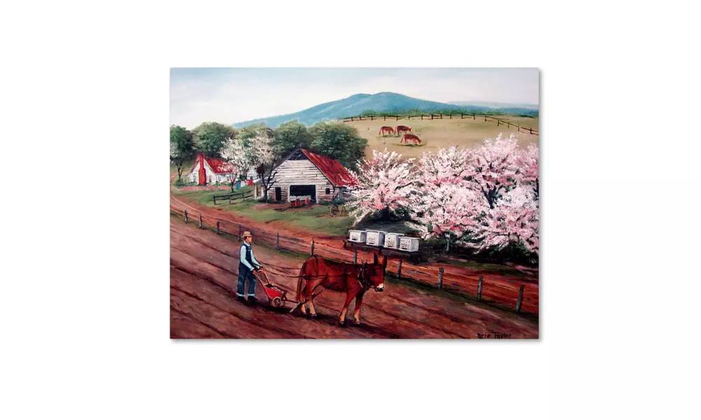 Arie Reinhardt Taylor 'Planti... | Groupon Goods