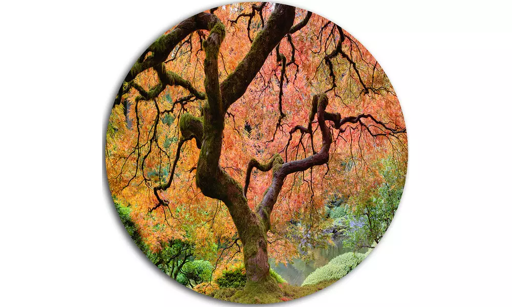 Autumn Maple Tree' Disc Lands... | Groupon Goods