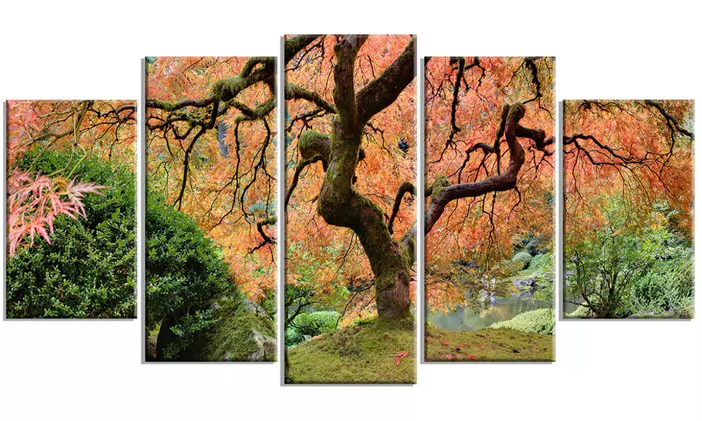 Old Japanese Maple Tree Lands... | Groupon Goods