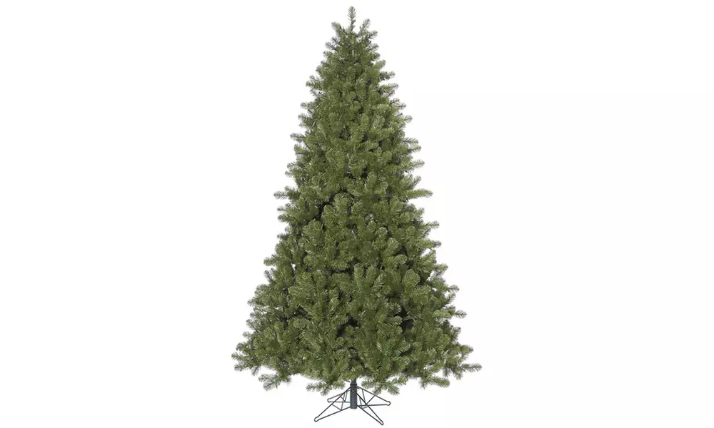 Ontario Spruce Trees | Groupon Goods