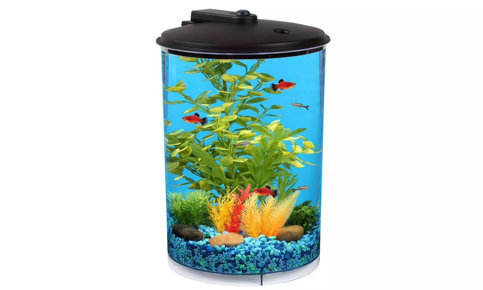 Koller Products AquaView 3 Ga... | Groupon Goods