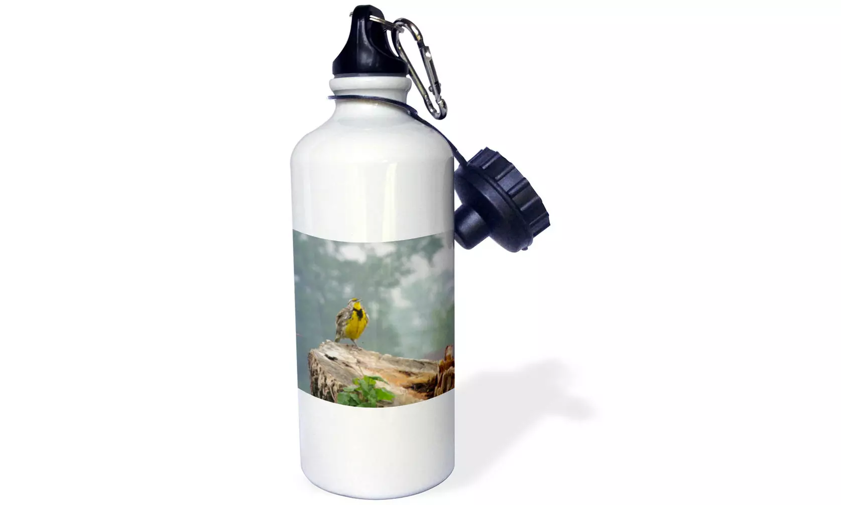 Water Bottle - Meadow Lark ... | Groupon Goods