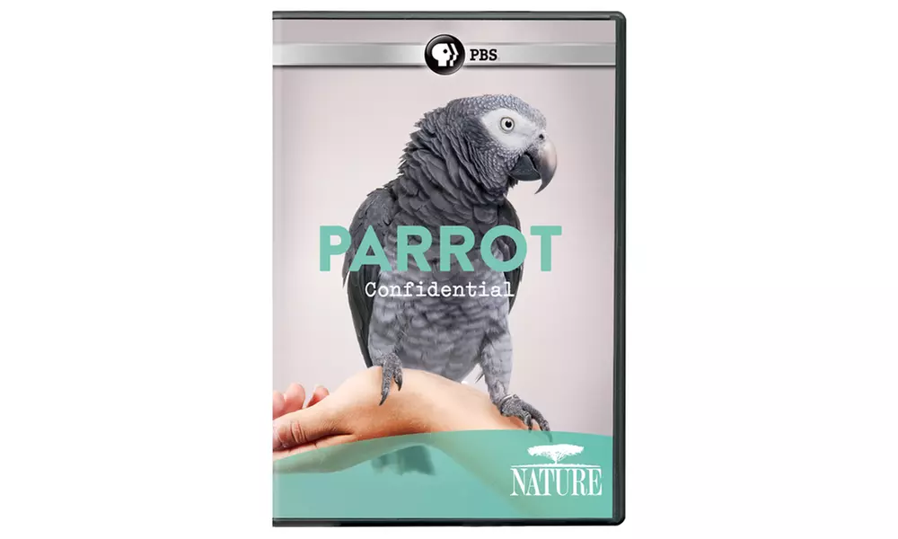 NATURE: Parrot Confidential DVD | Groupon Goods