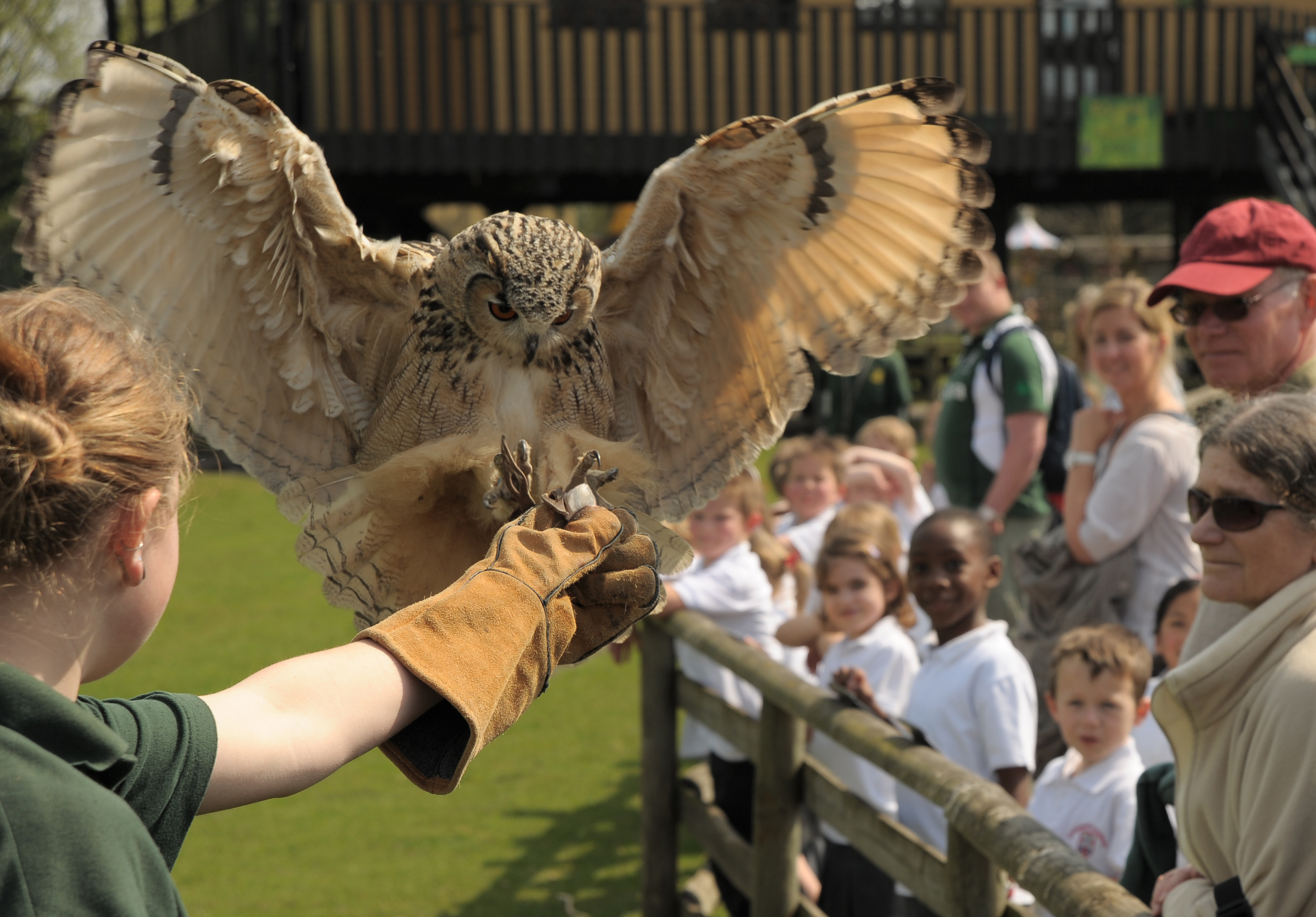 Shepreth Wildlife Park - Shepreth, Cambridgeshire | Groupon